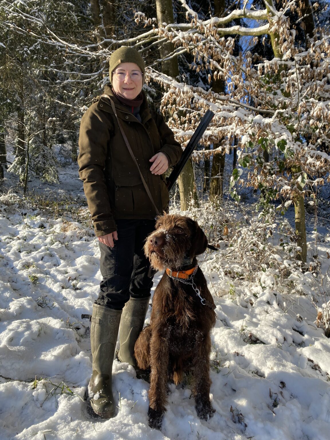 Der Pudelpointer – Pudelpointer Klub